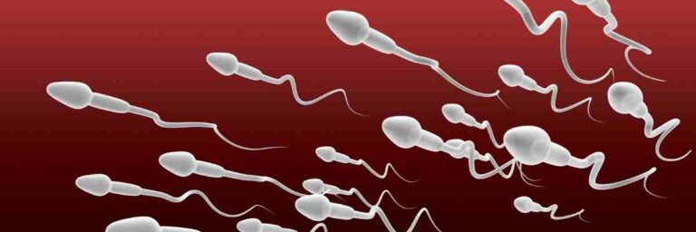 Sperm Kalitesi Nasıl Anlaşılır? - Prof. Dr. Serdar Aykan